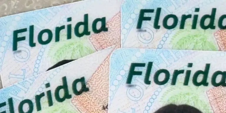 New Florida Driver's License Design: The Reason Behind Random Numbers ...