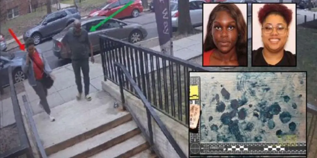 Two Women Face Charges of Murder and Theft After Allegedly Taking Money ...