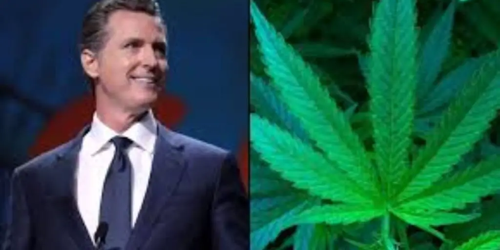 Dangerous News! Newsom Seeks to Outlaw Hemp THC: Major Shift in ...