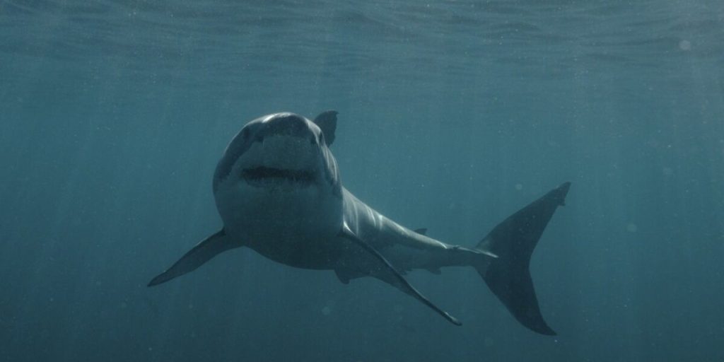 Overwhelming! 10 Massive County Fairs in the U.S. That Are Worth the ...