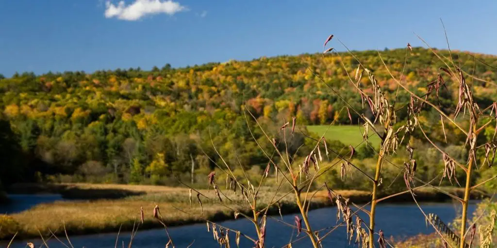 10 Gangs Shaping New York’s Crime Landscape Through Violent Activity ...