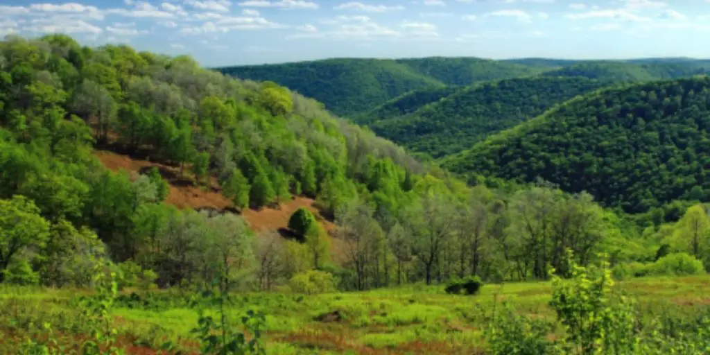 Iowa's Gang Crisis: Meet the Five Most Dangerous Groups Taking Over ...