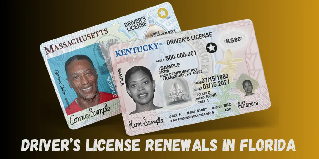 Florida Driver’s License Renewal: Latest Requirements and Rules for ...